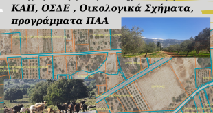 ΓΕΩΤ.Ε.Ε. - Παράρτημα Κρήτης